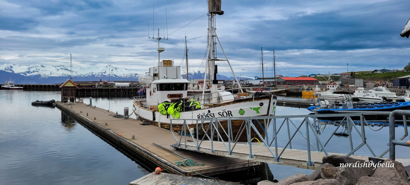 #5 Húsavík - das Mekka der Wale - Nordishbybella